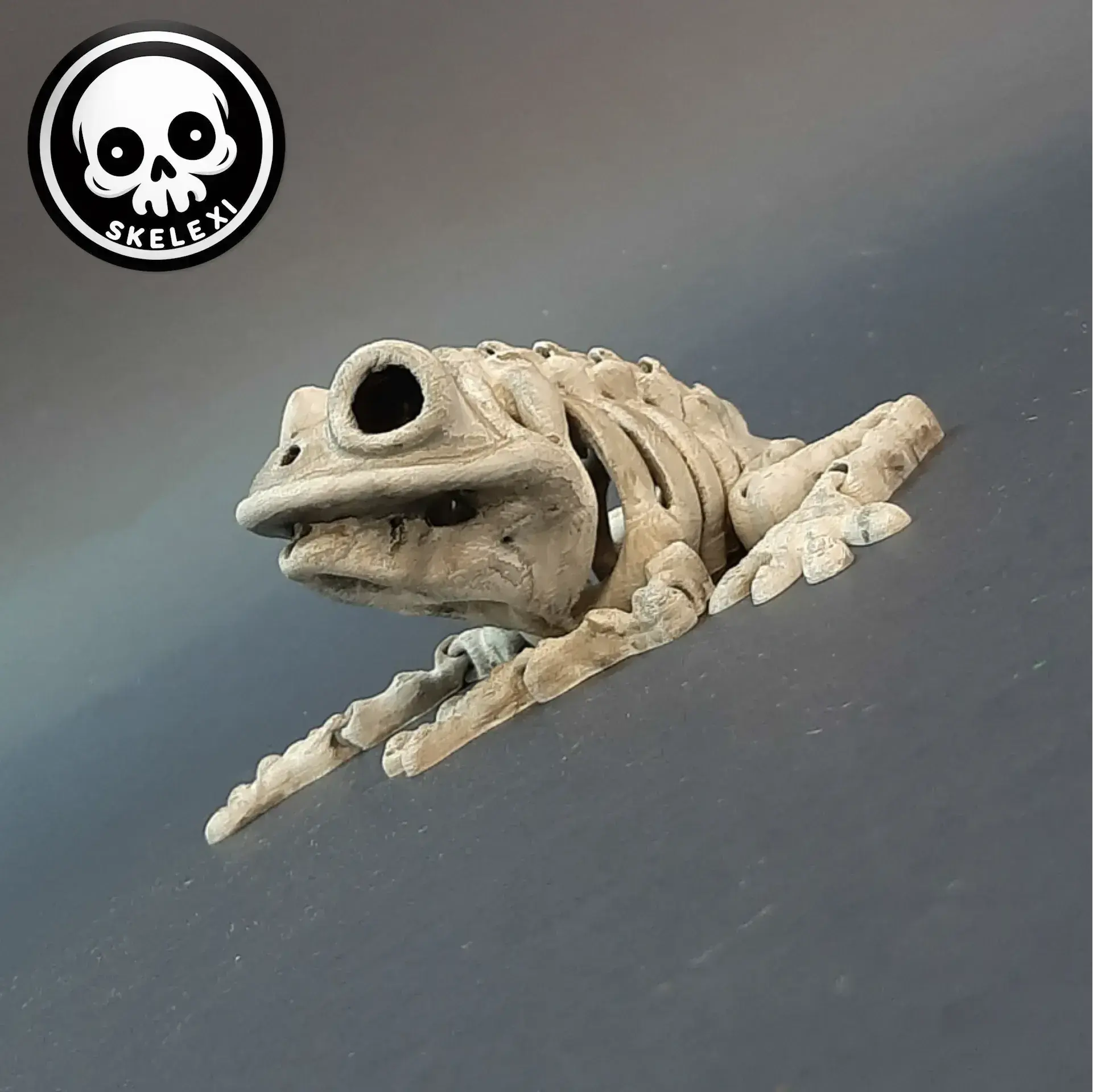 Other STL Download - Flexi Skeleton Frogby SKELEXI