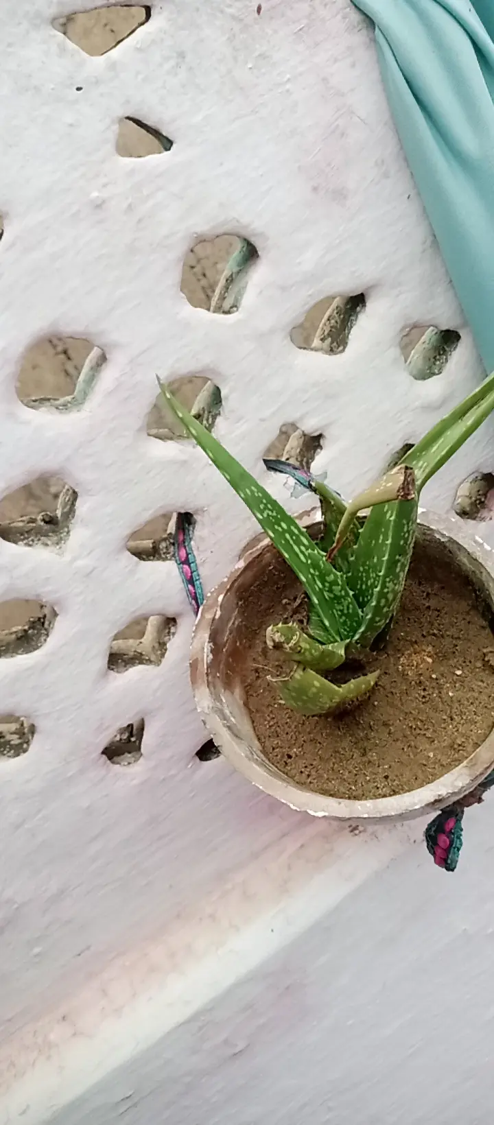 Free Other STL Download - arovelaby user3738577941