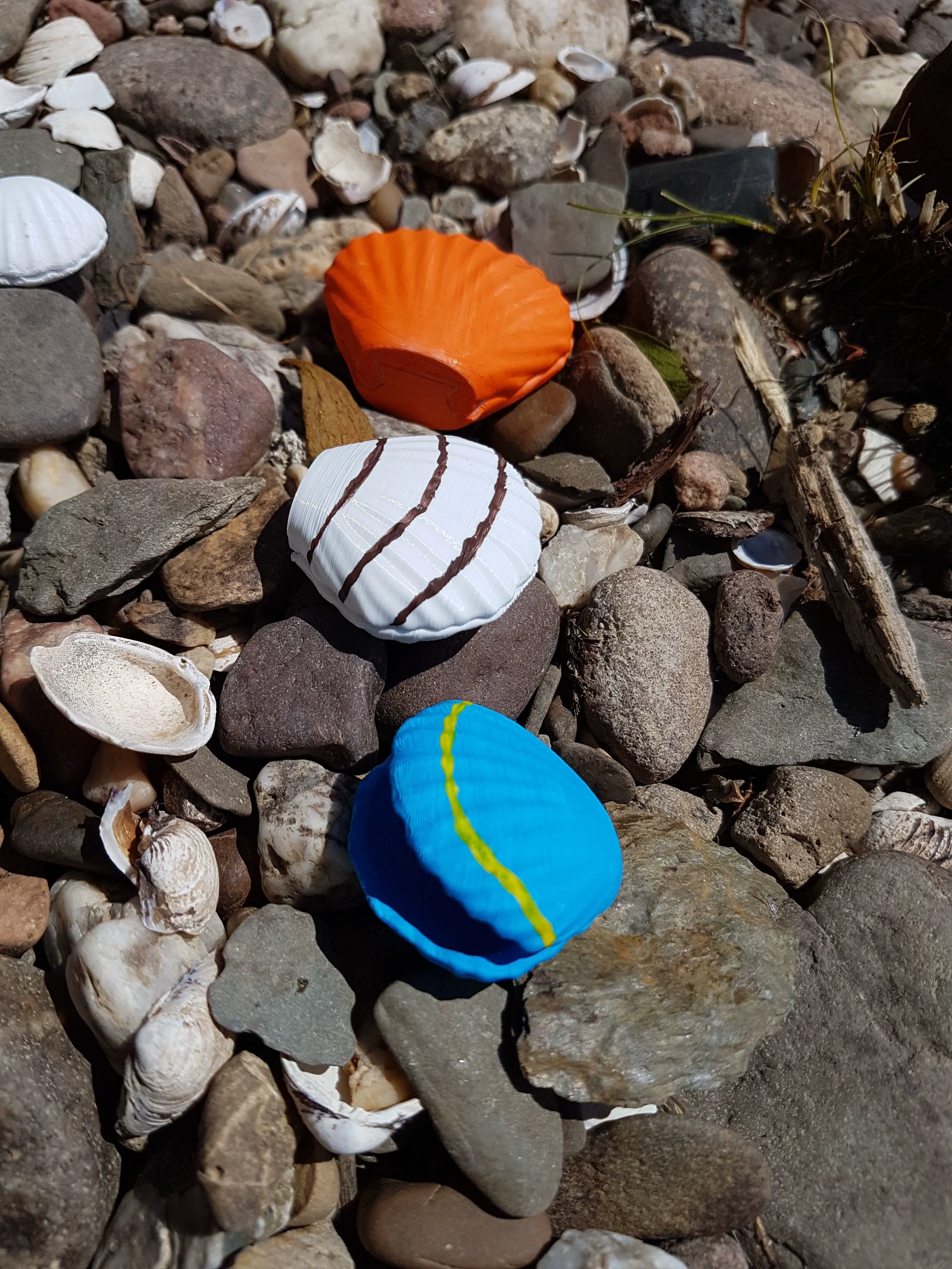 3D Printer Files | 3MF File | Sea Shells | Creality Cloud