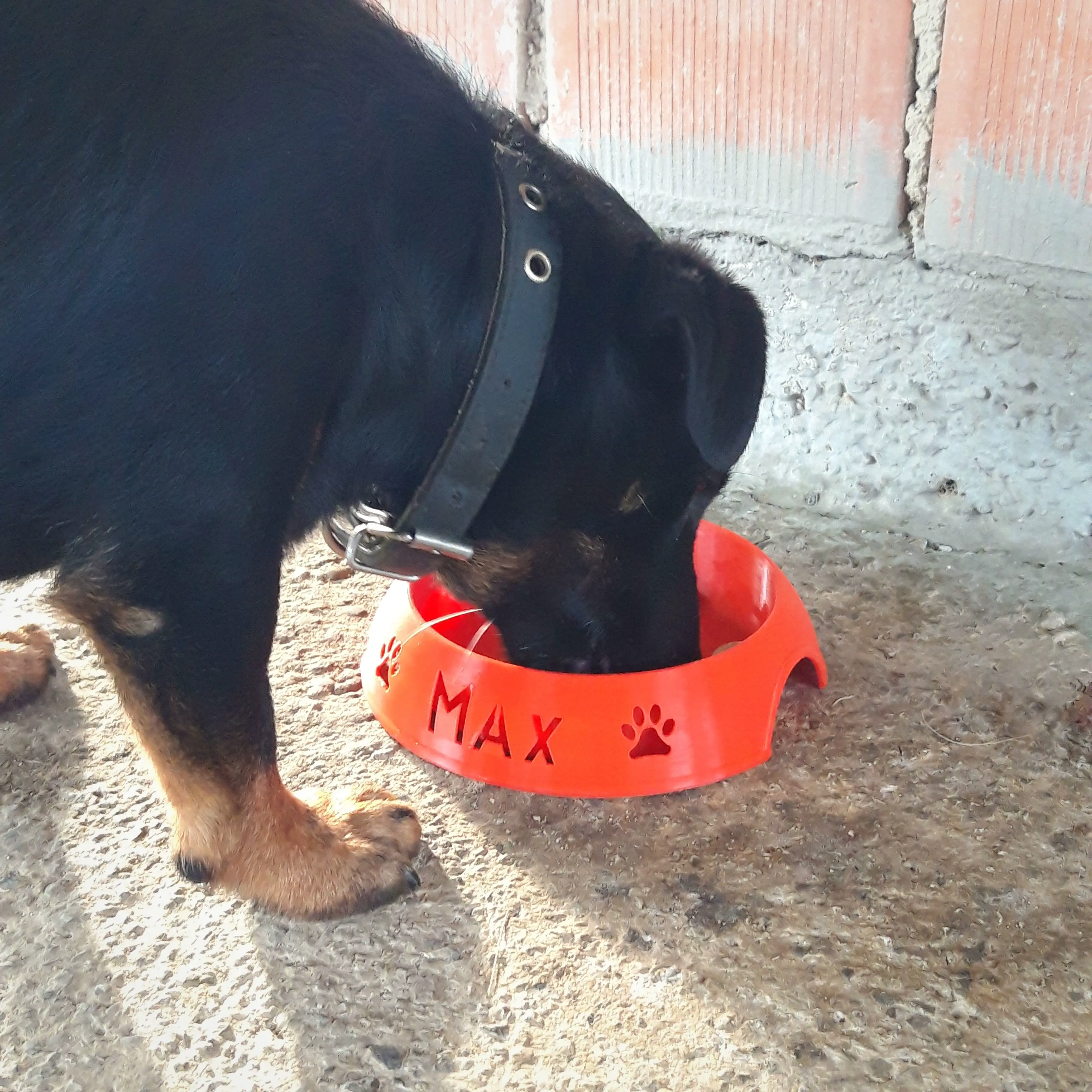 Pets STL Download - Dog bowls with namesby Vuki Production