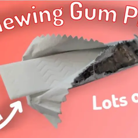 3D Printer Files | 3MF File | fake Chewing Gum Prank | Creality Cloud