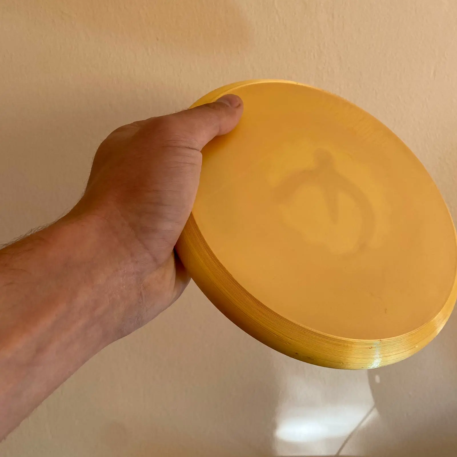 3D Printer Files | 3MF File | Unbreakable Frisbee Toy | Creality Cloud