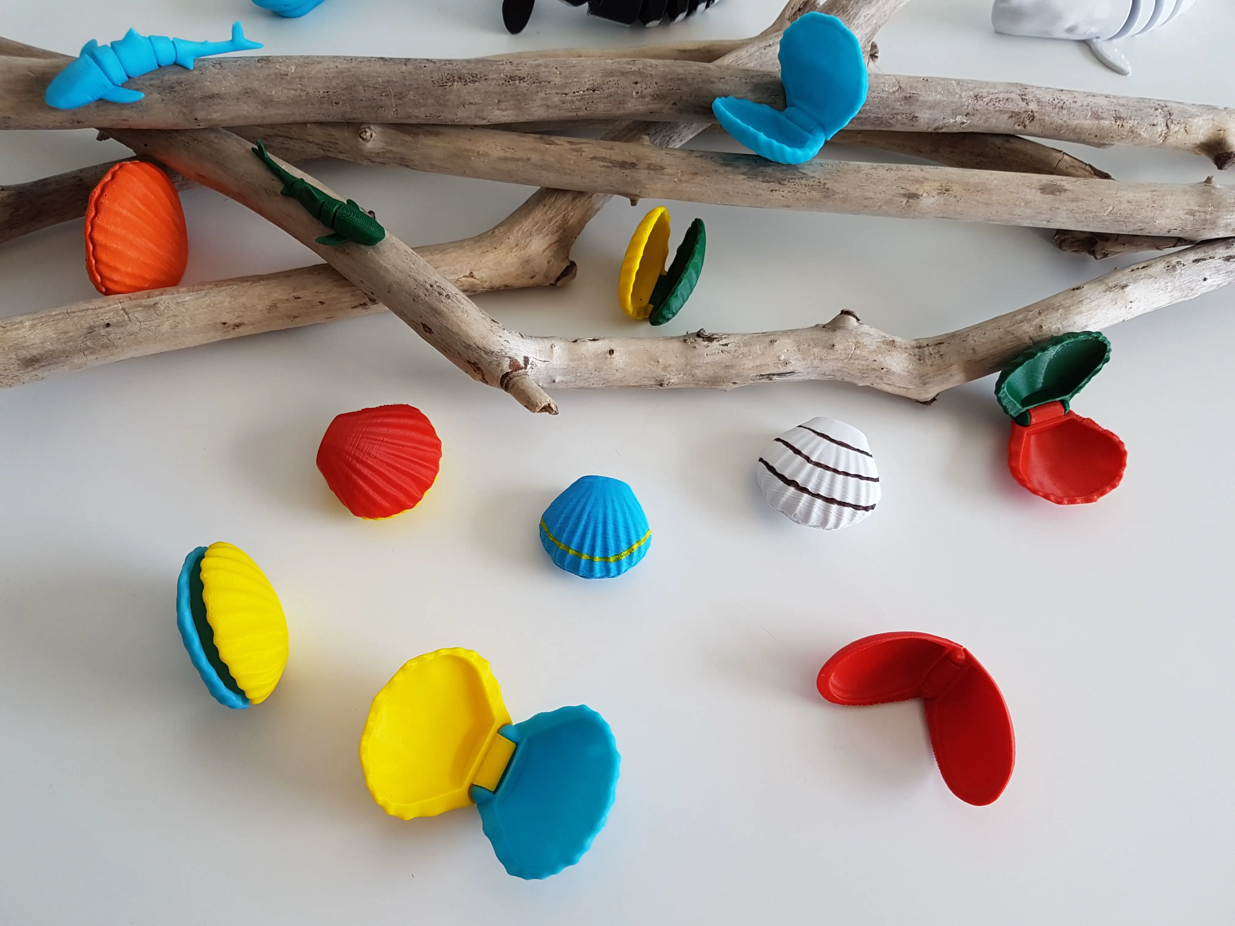 3D Printer Files | 3MF File | Sea Shells | Creality Cloud