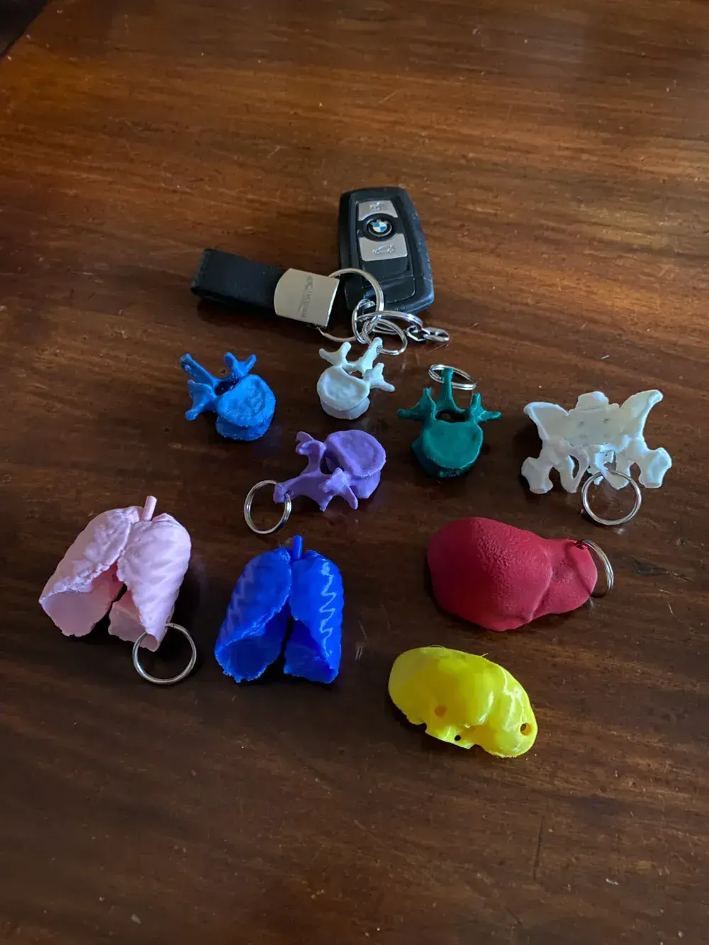 3D Printer Files | 3MF File | Anatomy Keychains Pack (Bundle of 5 ...