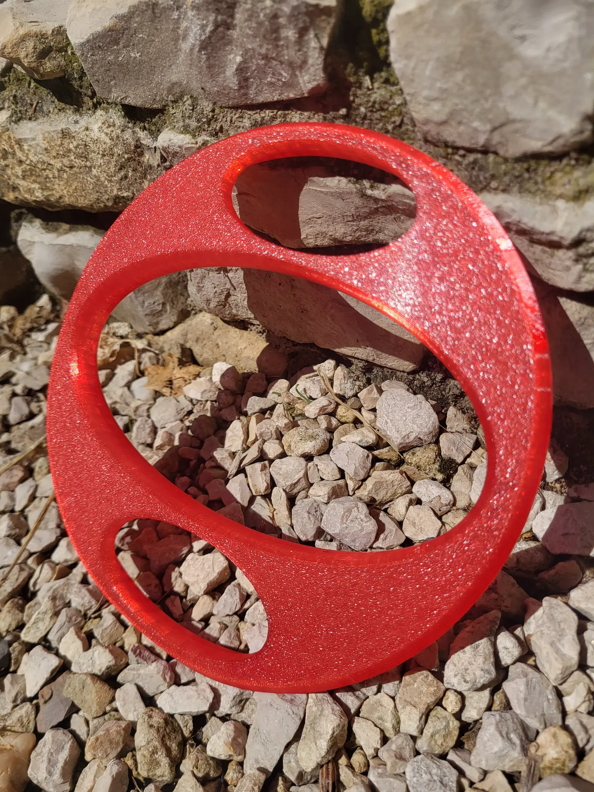 3D Printer Files | 3MF File | Dog Disc - Frisbee | Creality Cloud