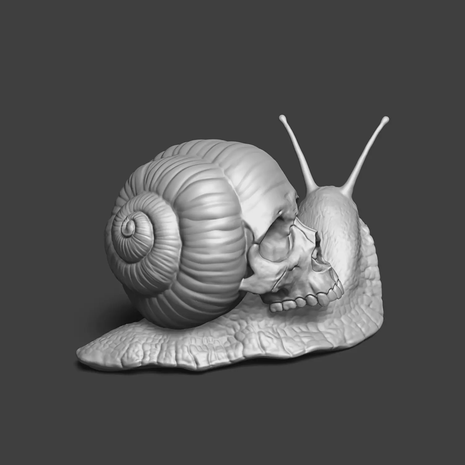 Characters & Creatures STL Download - Snail with a skullby ChillSeal