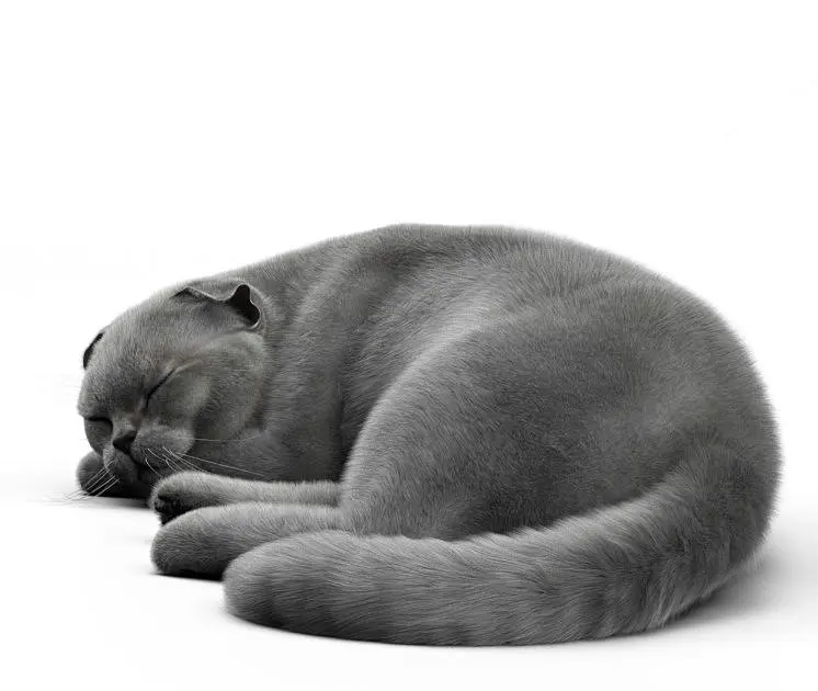 Characters & Creatures STL Download - CATby Davron