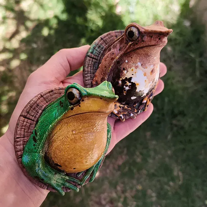 DARWIN WALL FROG | 3D models download | Creality Cloud