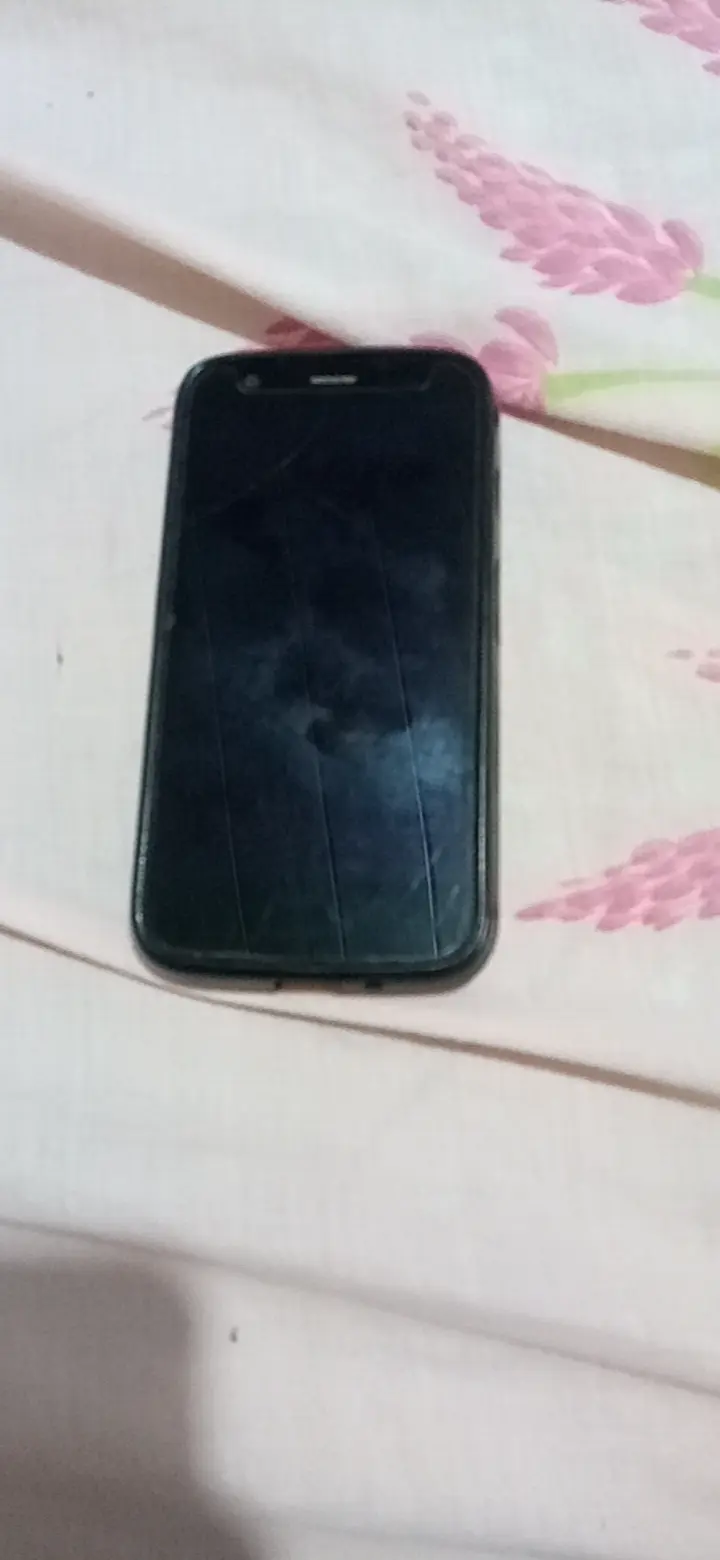 sei lá | 3D models download | Creality Cloud