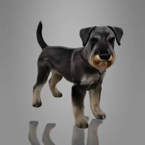 3D Printer Files | 3MF File | MINIATURE SCHNAUZER | Creality Cloud