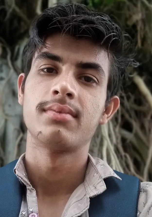 Free STL Download - 3d picture by Lalit Chauhan