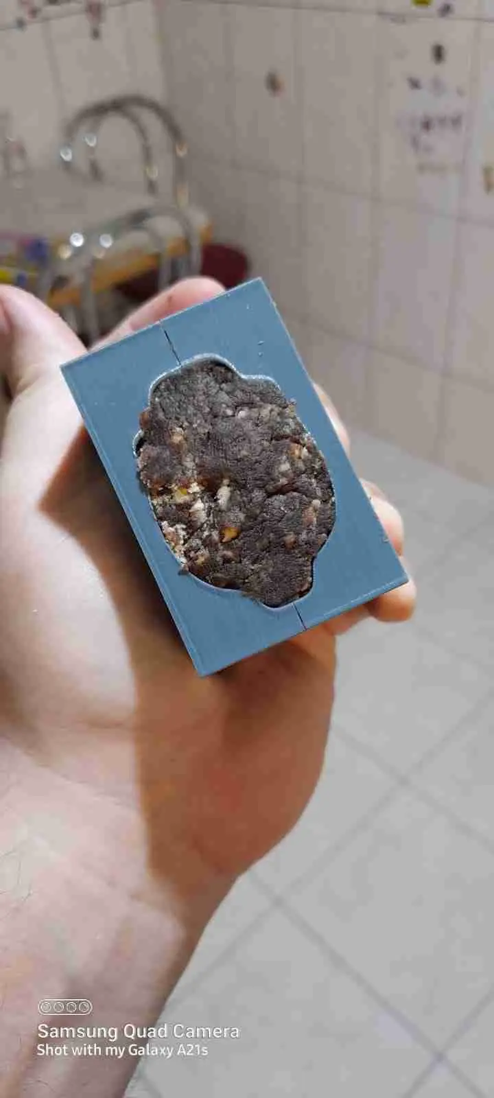 Test Models STL Download - Bunny moldby Sirb Claudiu_92