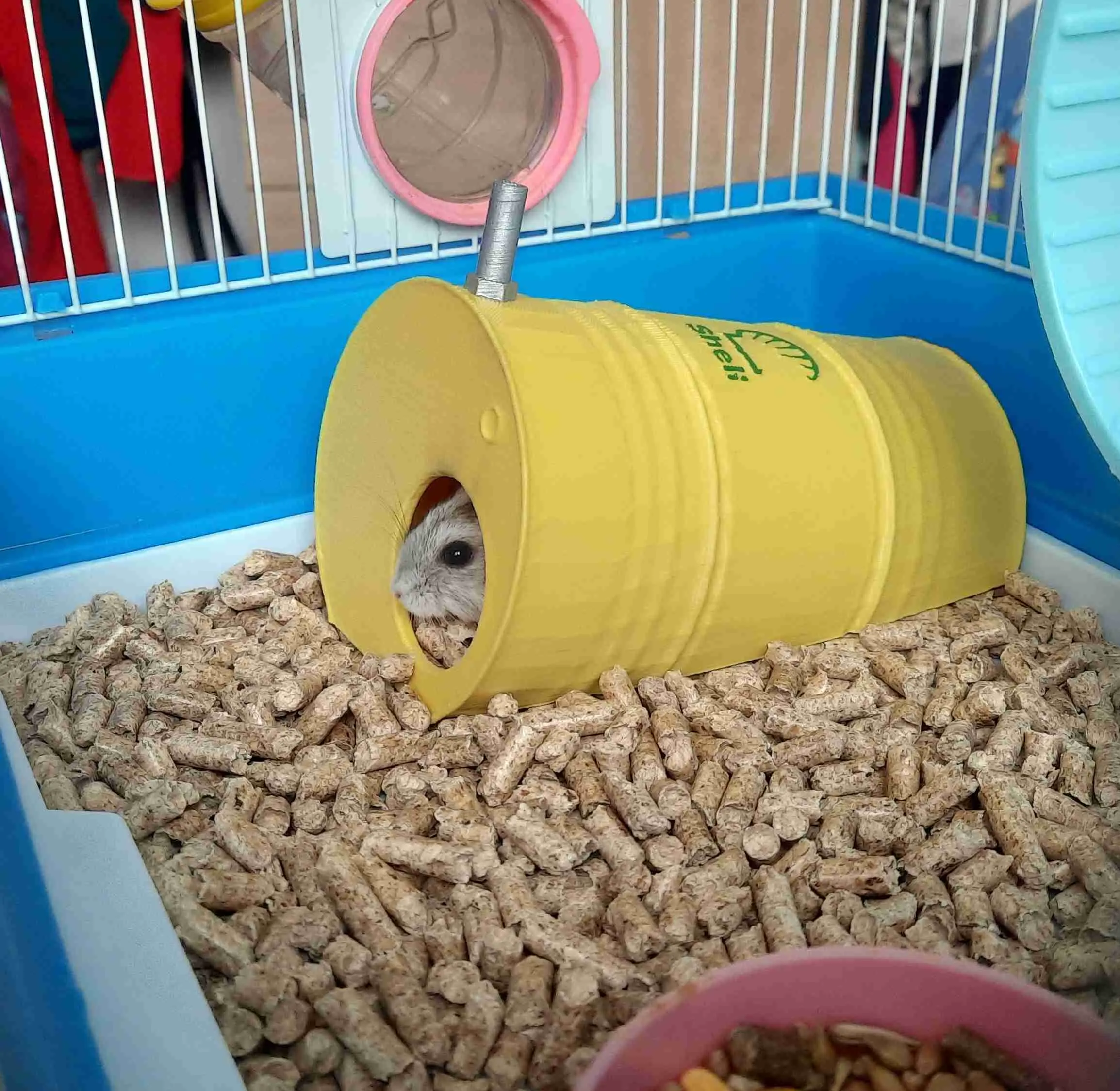 Pets STL Download - HAMSTER - FISH - TERRARIUM shell typeHOUSEby ...