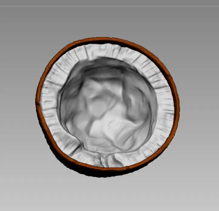 Digital Art STL Descarga - COCO MARRÓN - ALTO DETALLE - 3MF MULTICOLOR ...