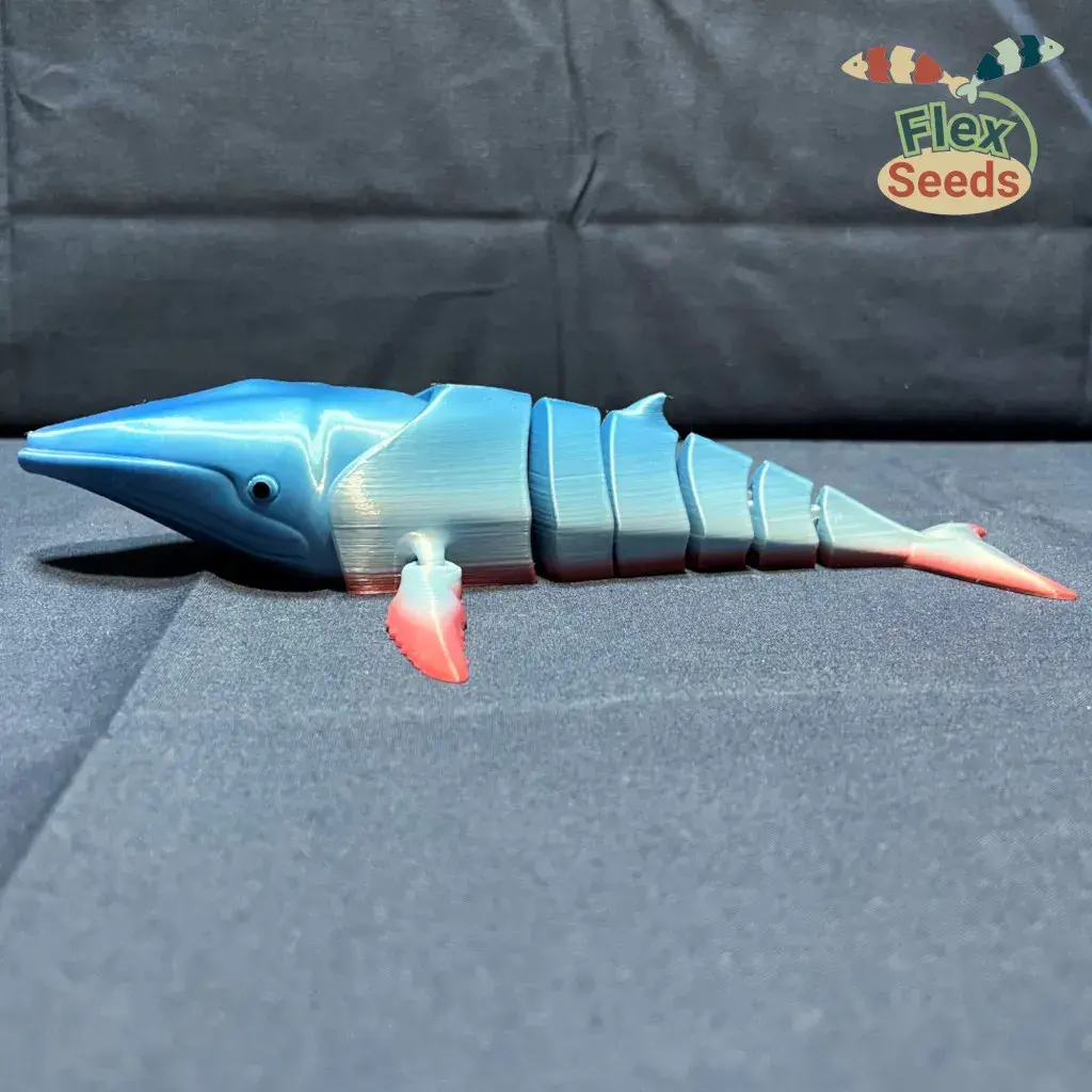 3d Printer Files 3mf File Flexi Humpback Whale Print In Place
