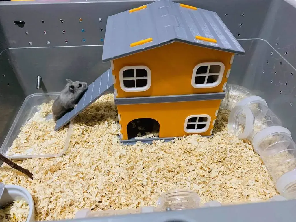 Free Pets STL Download - hamster houseby sega$_