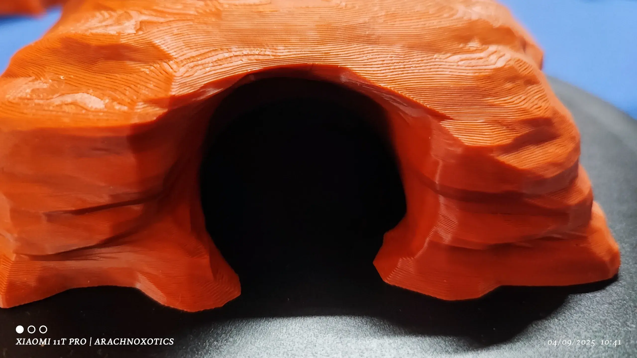 3D Printer Files | 3MF File | Arachnoxotics Terrestrial Tarantula Hide ...