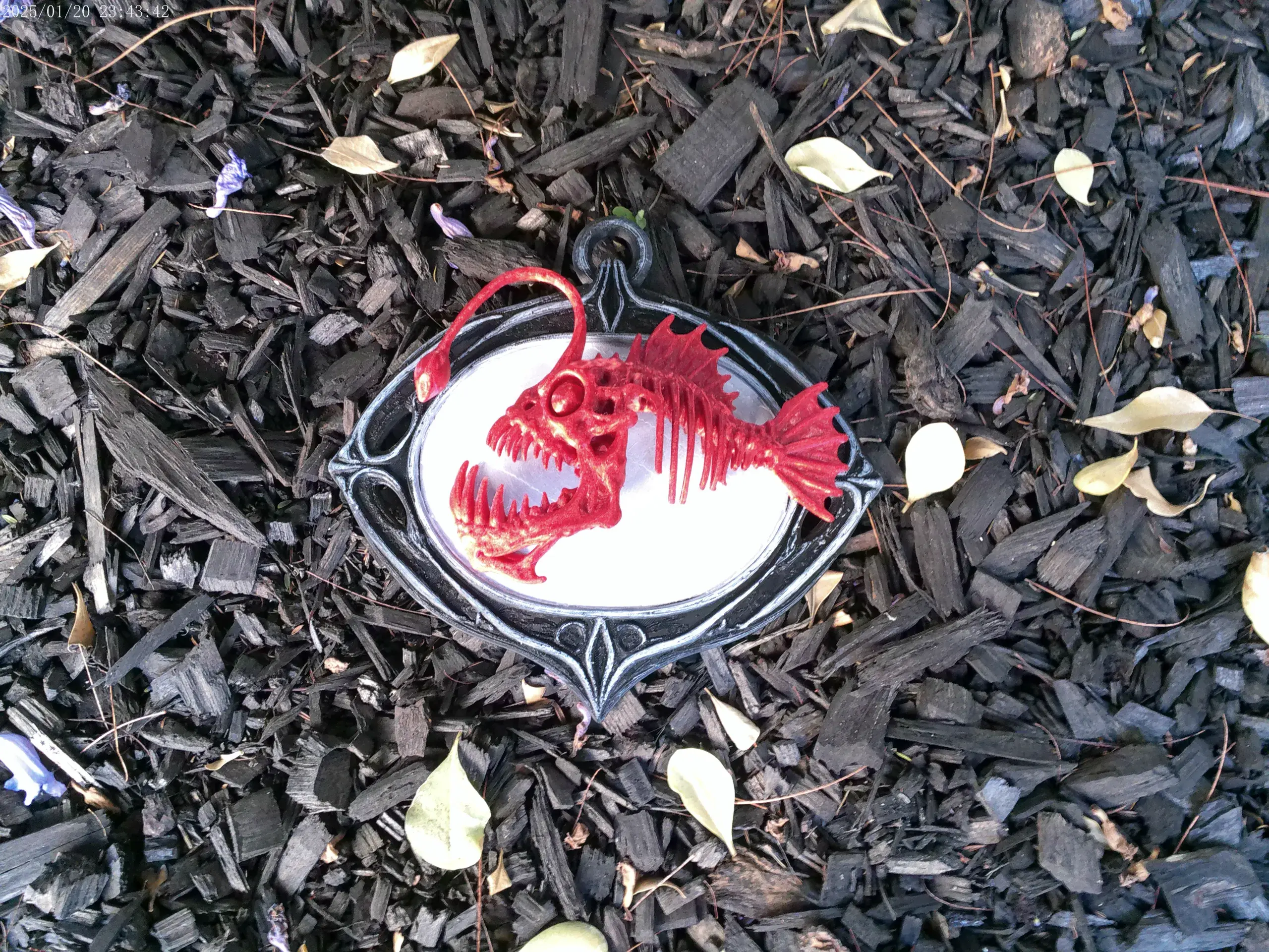 Home Decorations & Ornaments STL Download - Deep Sea Wall Trophy ...