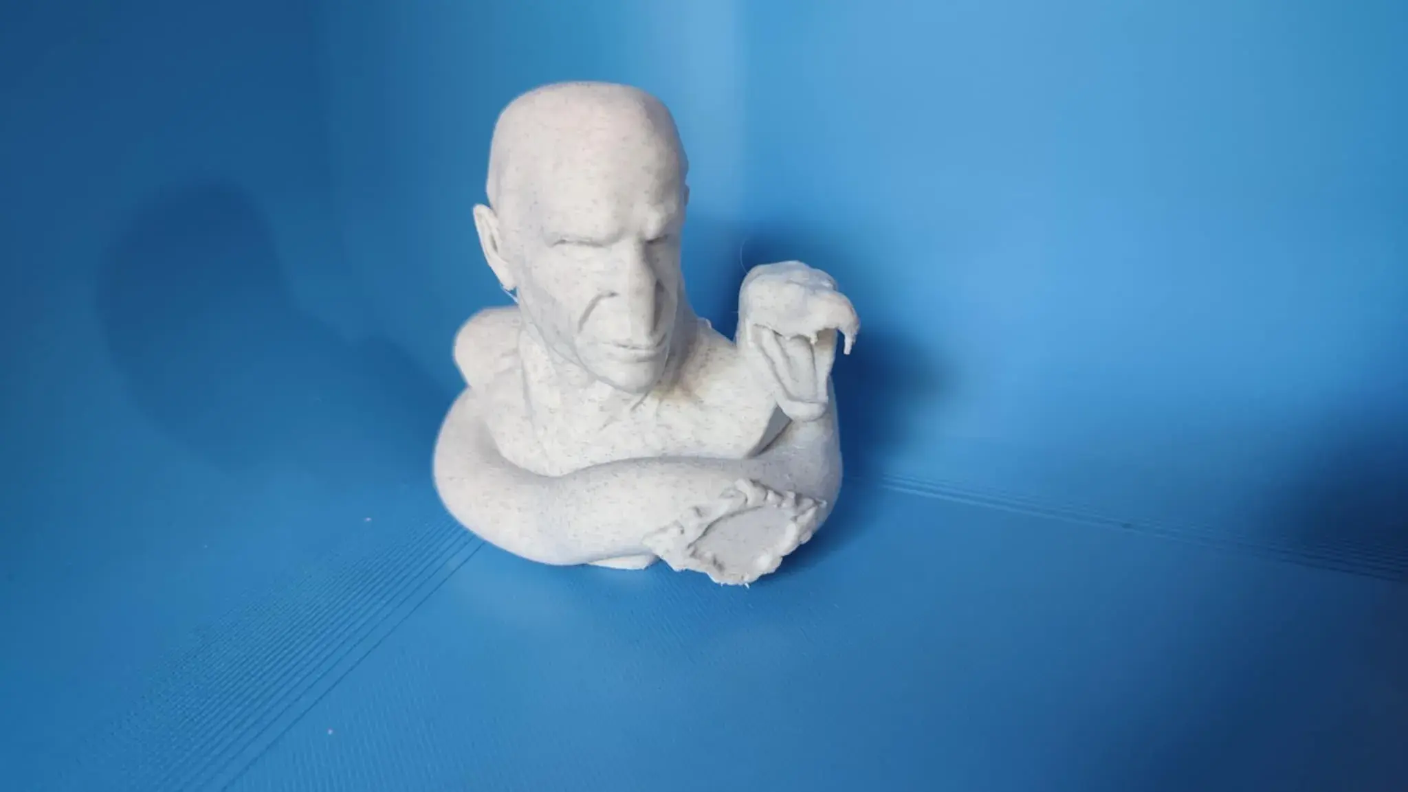 Free Other STL Download - Voldemort (Harry Potter)by Swotar
