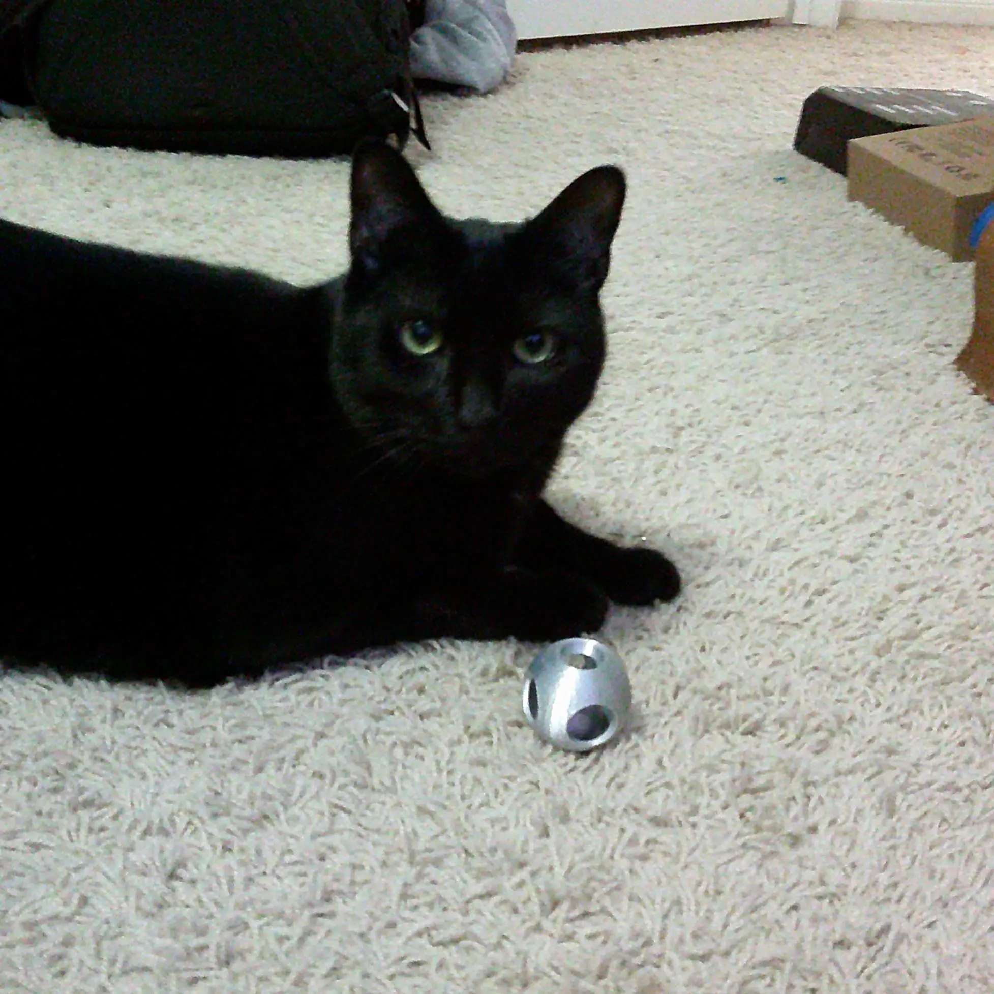 3D Printer Files | 3MF File | Print in Place Cat Toy | Creality Cloud