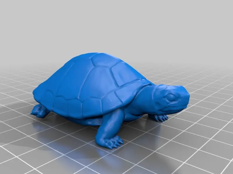 3D Printer Files | 3MF File | Mr & Mrs Turtle (Adult) Surprise ...