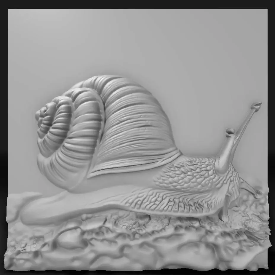 3D Printer Files | 3MF File | snail | Creality Cloud
