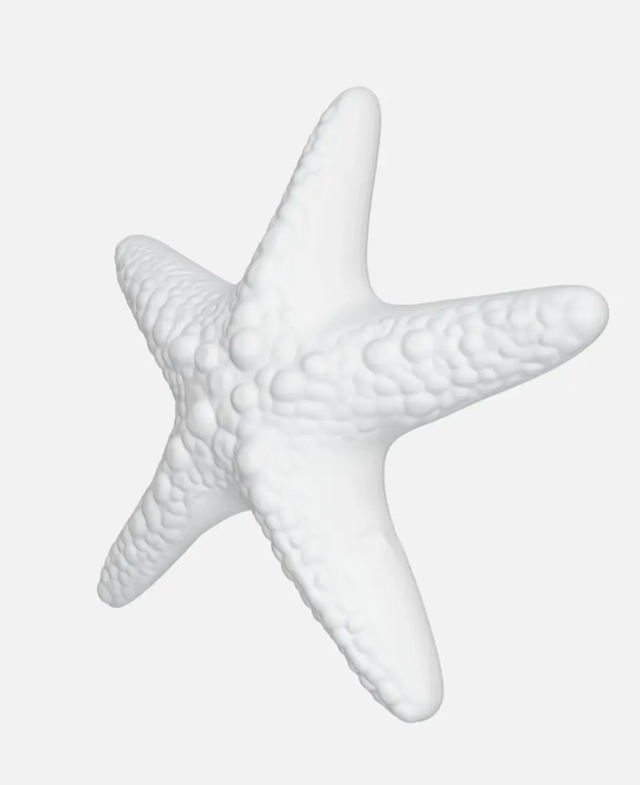 Home Decorations & Ornaments STL Download - Starfish by user8326146771