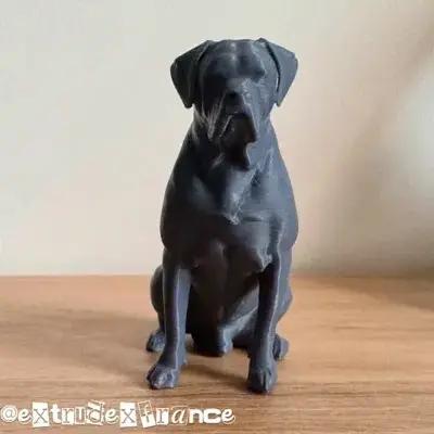 3D Printer Files | 3MF File | CANE CORSO – MODÈLE 3D RÉALISTE ET ...