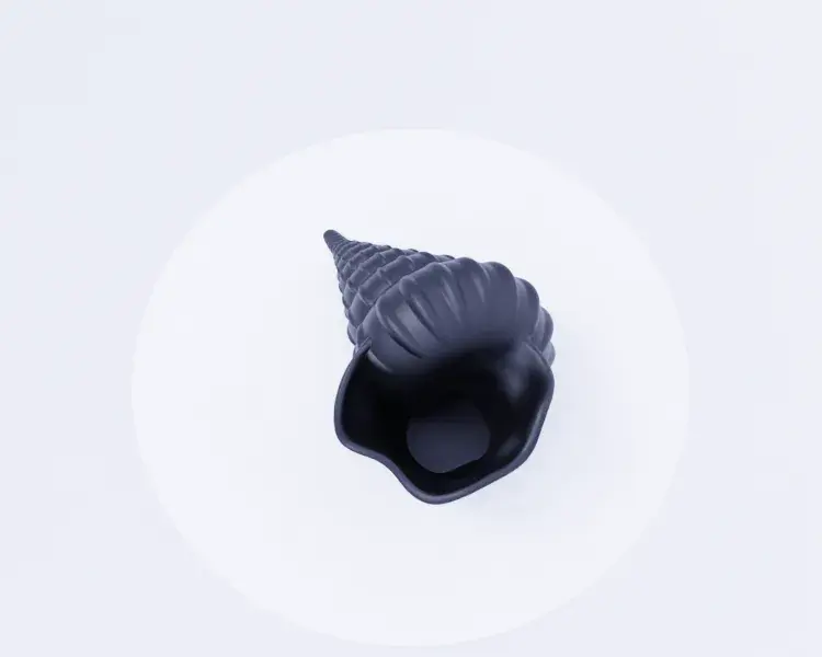 3D Printer Files | 3MF File | Shell - Natural Coastal Decorative Piece ...