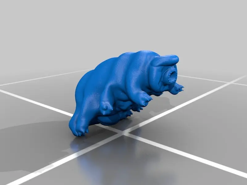 Waterbear and the Tardigrade | 3D models download | Creality Cloud
