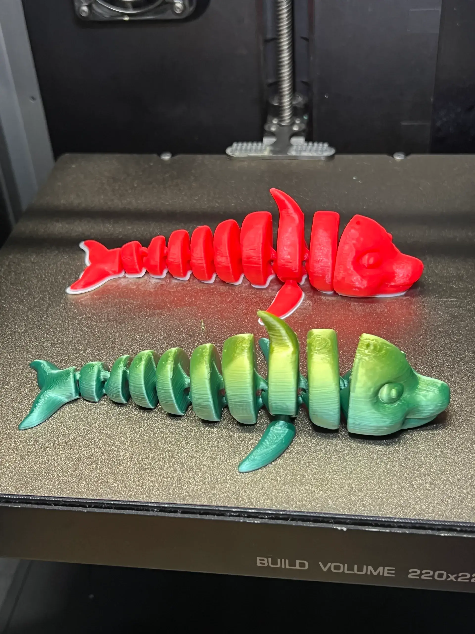 3D Printer Files | 3MF File | NEWER ARTICULATED DOLPHIN | Creality Cloud