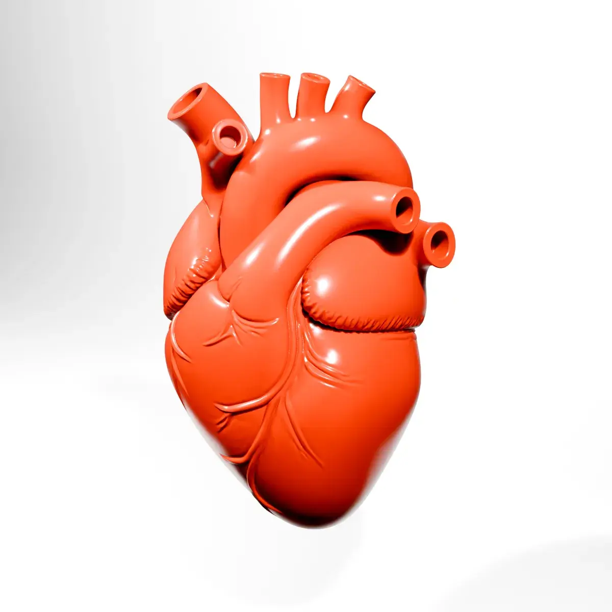 Other STL Download - Heart organby 3D Everything