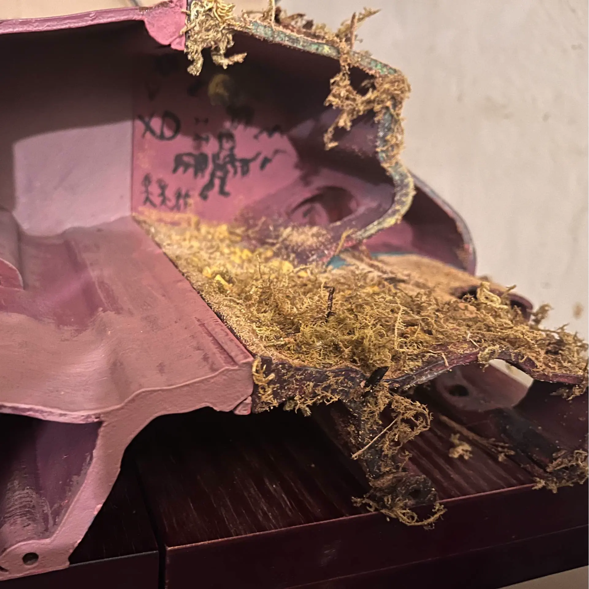 Free Pets STL Download - Reptile Hide for Leopard Geckos and similar ...