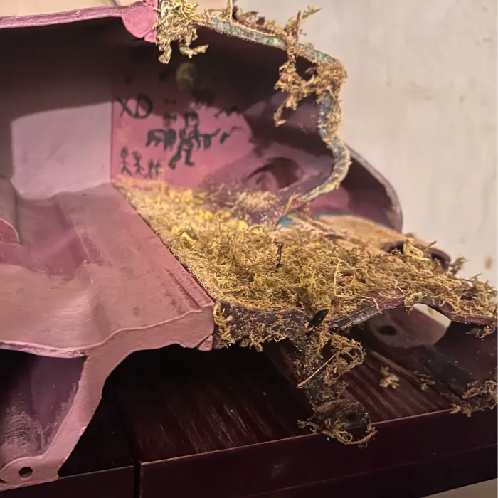 Free Pets STL Download - Reptile Hide for Leopard Geckos and similar ...