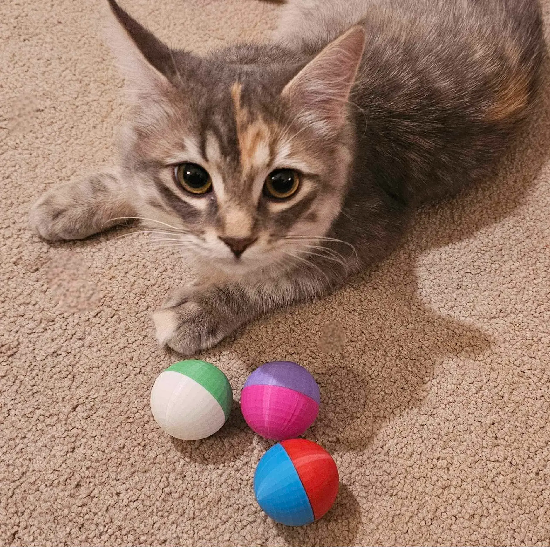 3D Printer Files | 3MF File | Easy Print Cat Balls! use up your extra ...
