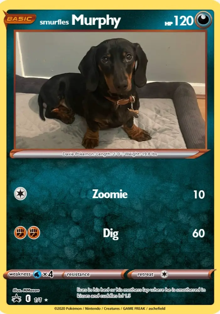 Free Toys & Games STL Download - Puppy pokemon cardby 3D_TechGuy