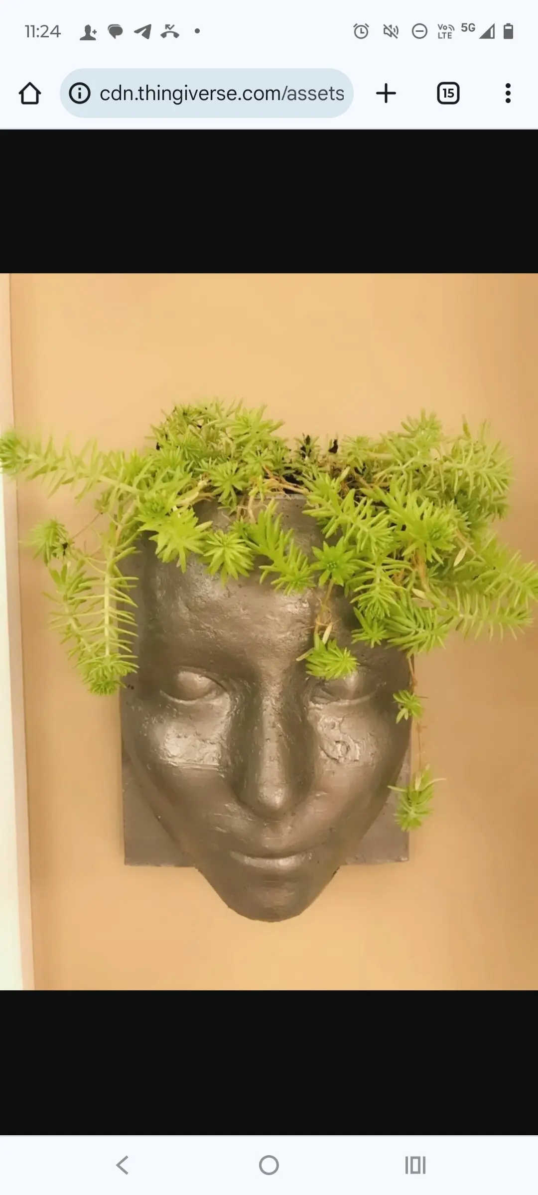 Free Home Decorations & Ornaments STL Download - Vasfaceby Ralph Camargo