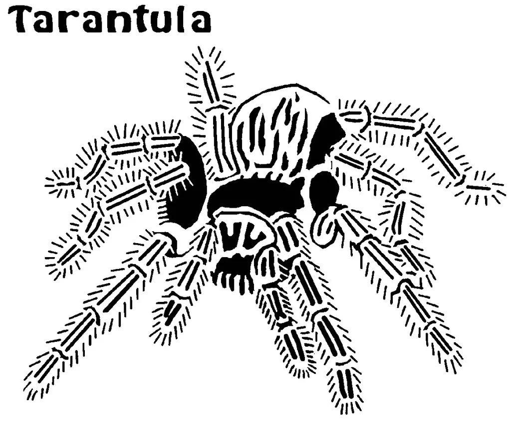 Free Digital Art STL Download - Tarantula stencil 3by SMT_M 🦊