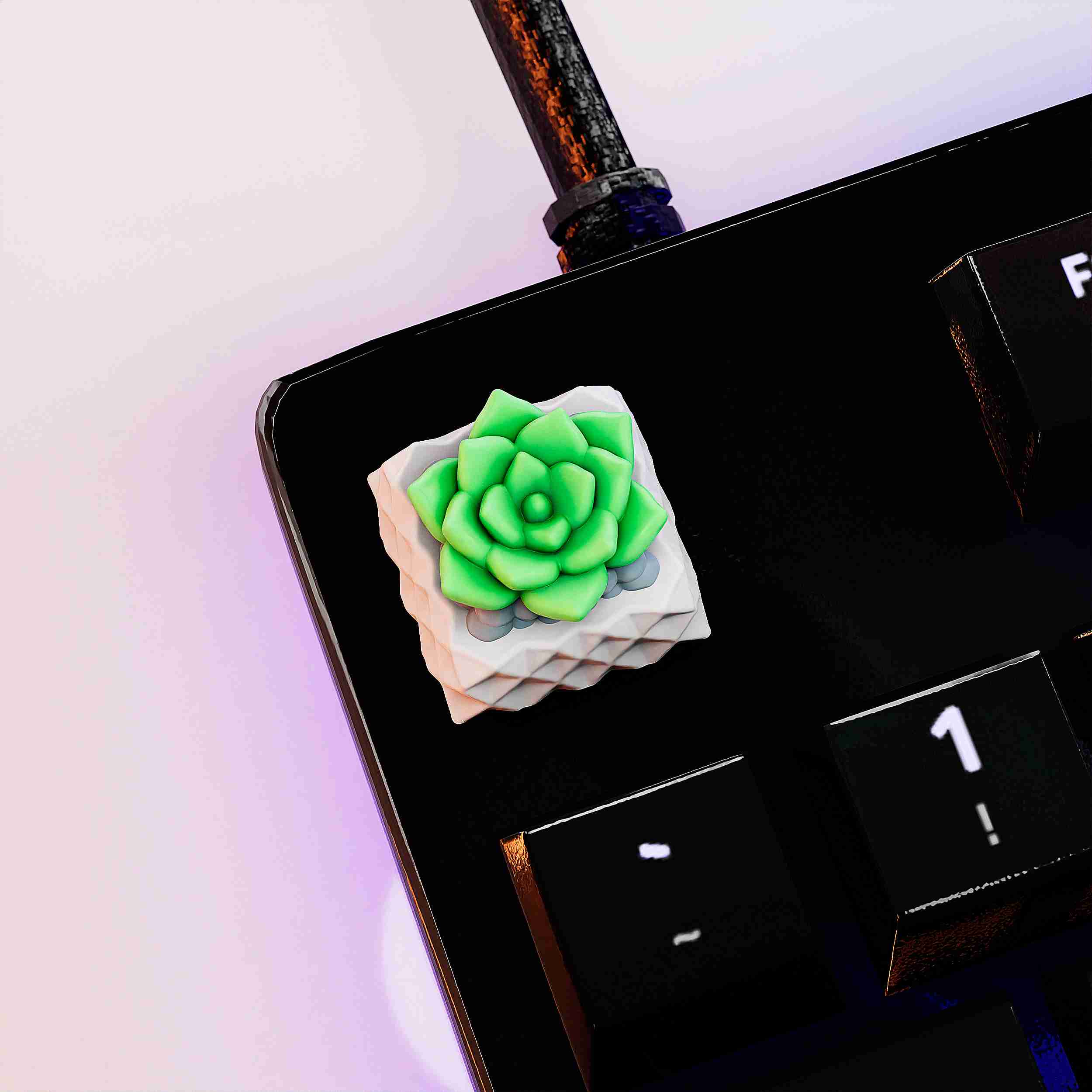Succulents Plants Keycaps - Mechanical Keyboard | 3D models download ...