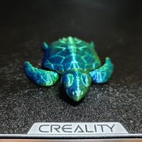 Literally just hatched - Sea Turtle by [%2529606663] Printed as part of ...