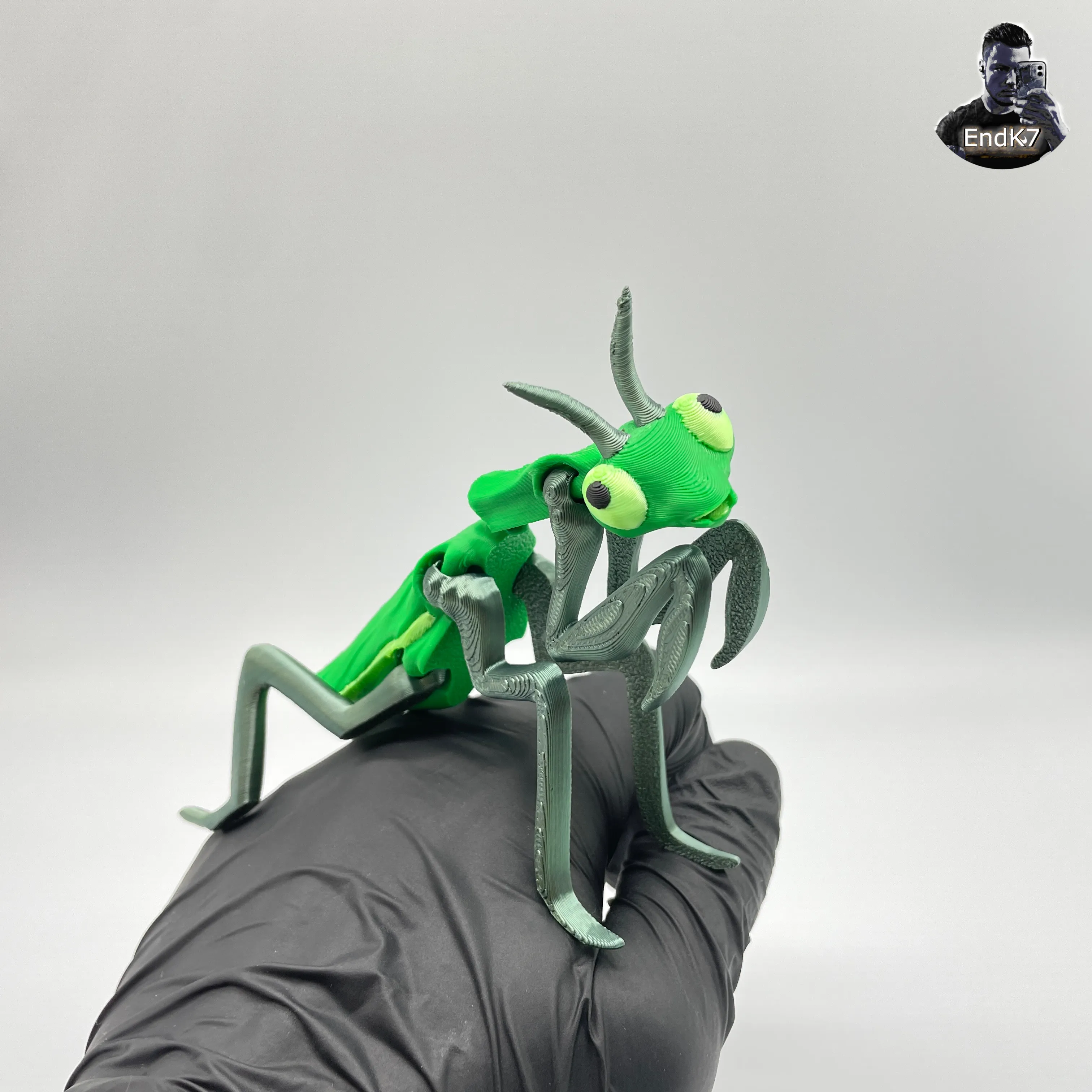 Other STL Download - Articulated Mantis - Print in Place - Flexible ...
