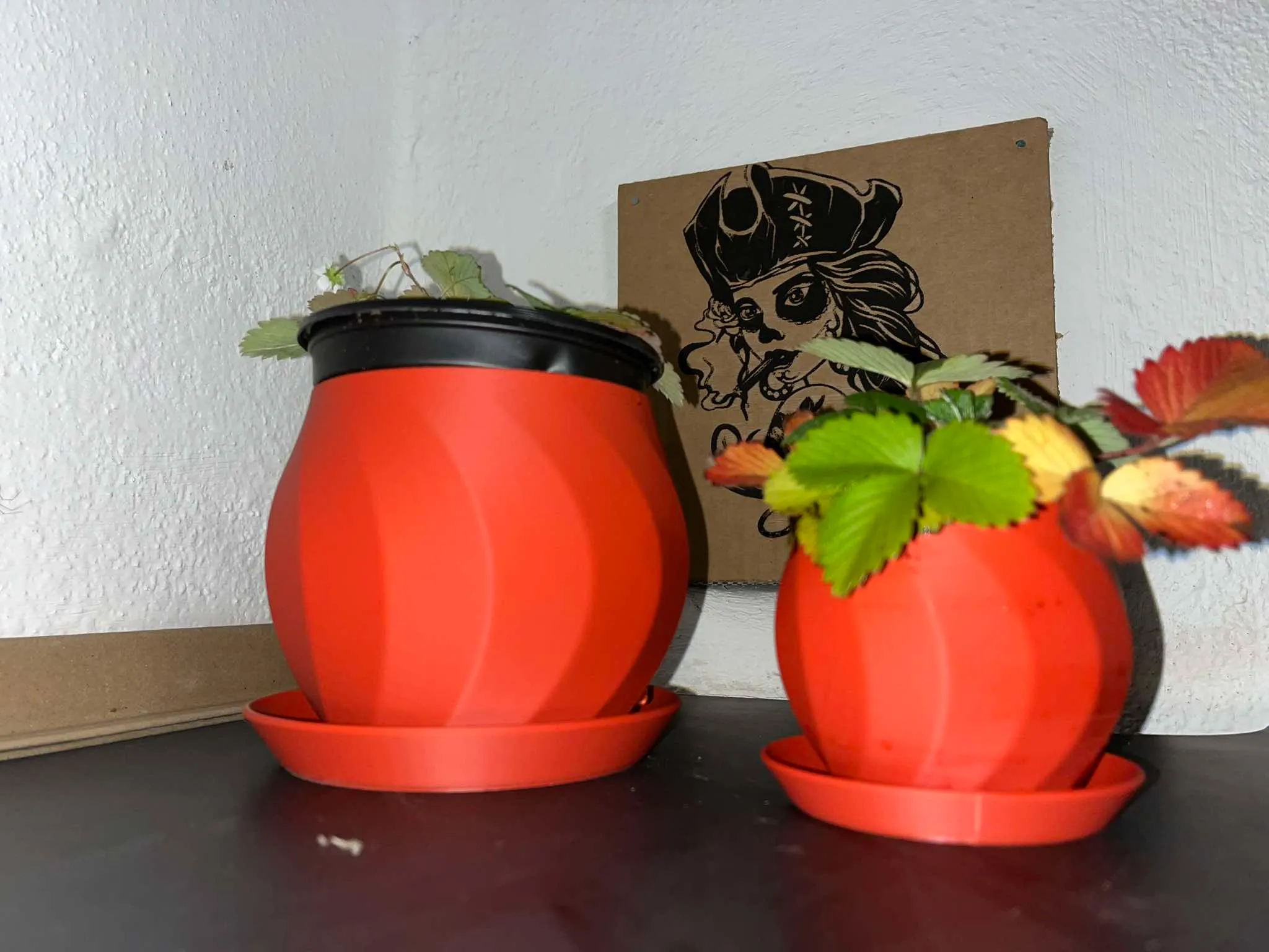 3D Printer Files | 3MF File | A flower pot with a saucer | Creality Cloud