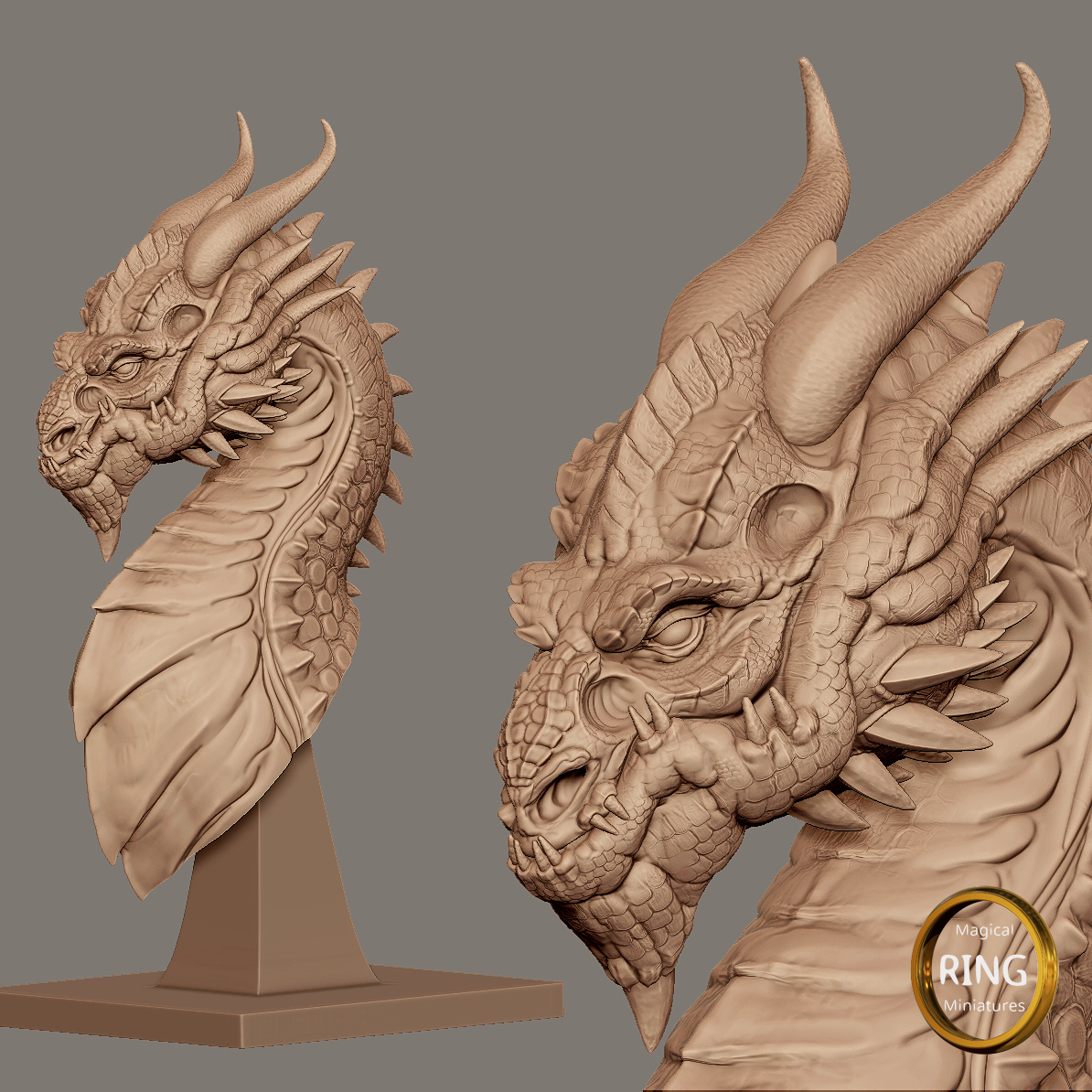 Elder Dragon bust | 3D models download | Creality Cloud