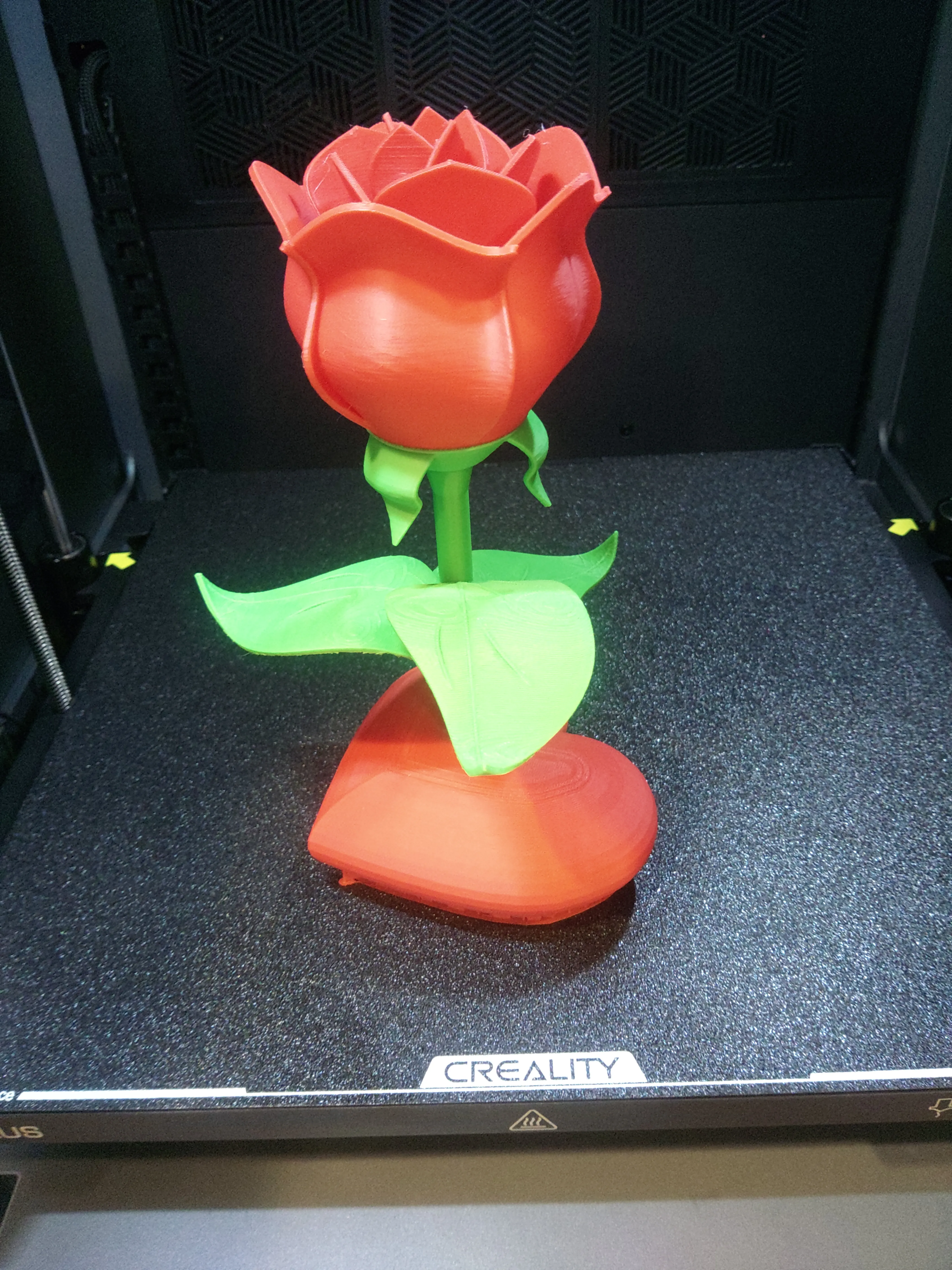 Printed Great! I printed the leaves with normal support, assembled the ...
