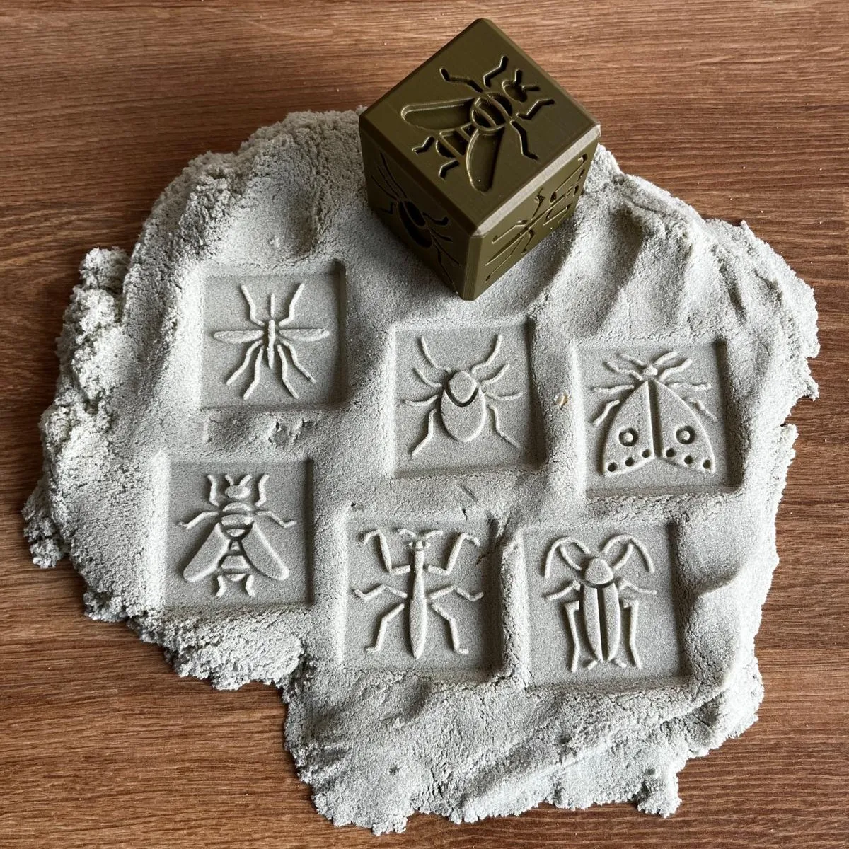 Educational Aids STL Download - Educational INSECT IMPRESSION Cube for ...