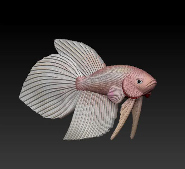 BETTA FISH VEILTAIL - READY FOR 3D PRINTING | 3D models download ...