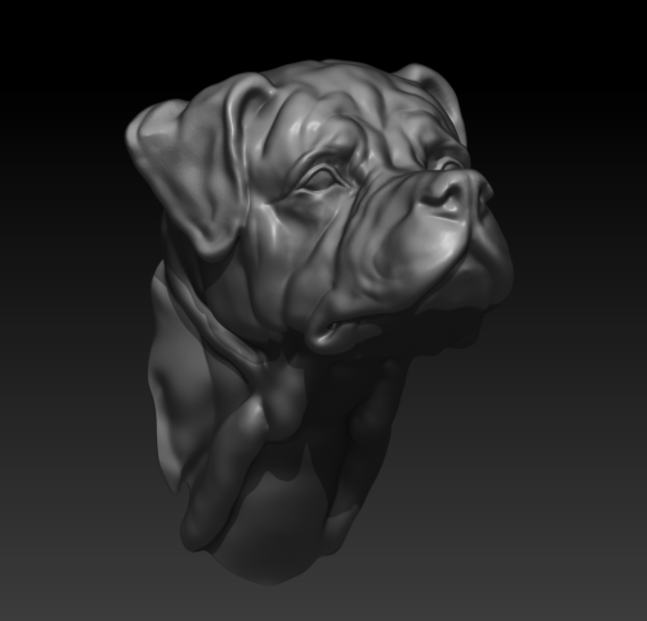 ROTTWEILER HEAD | 3D models download | Creality Cloud