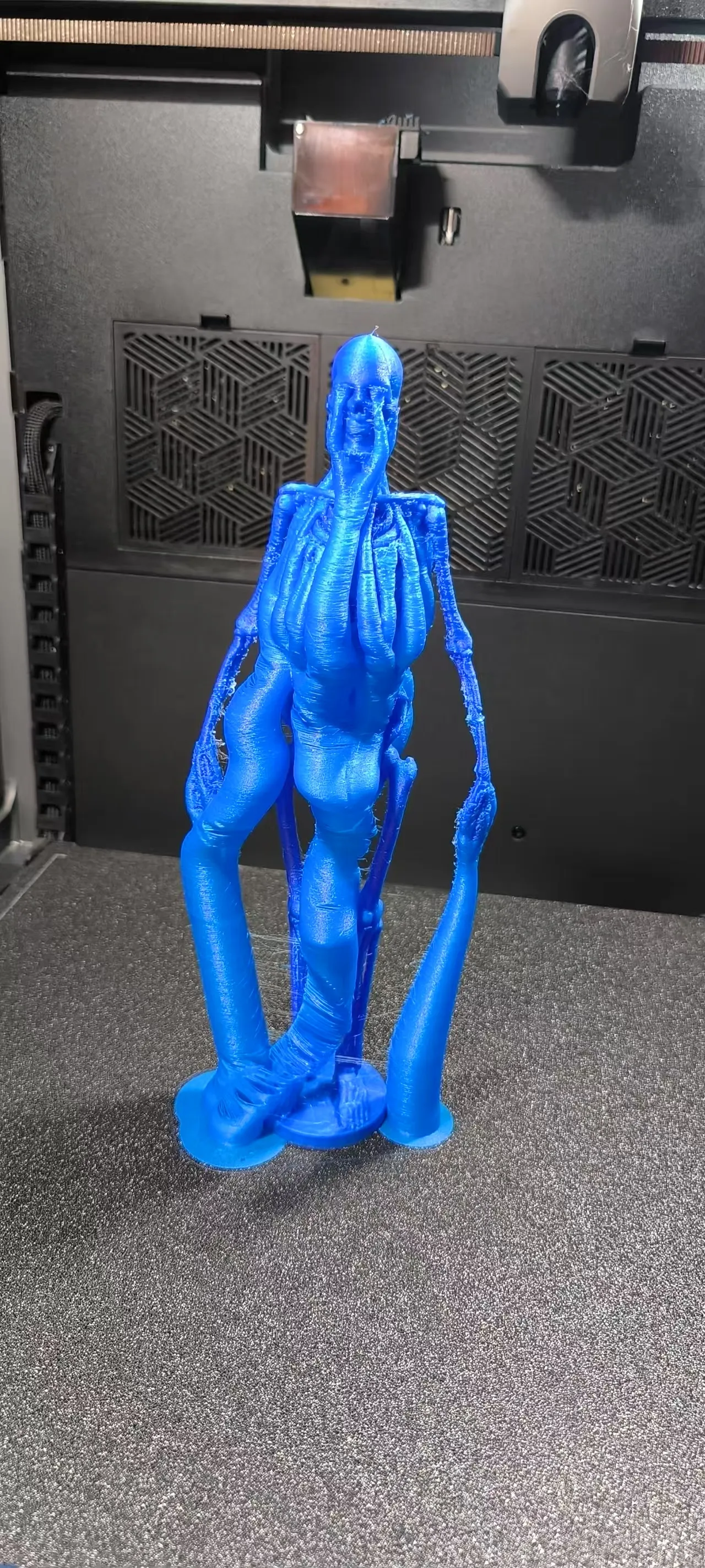 3D Printer Files | 3MF File | İskelet | Creality Cloud