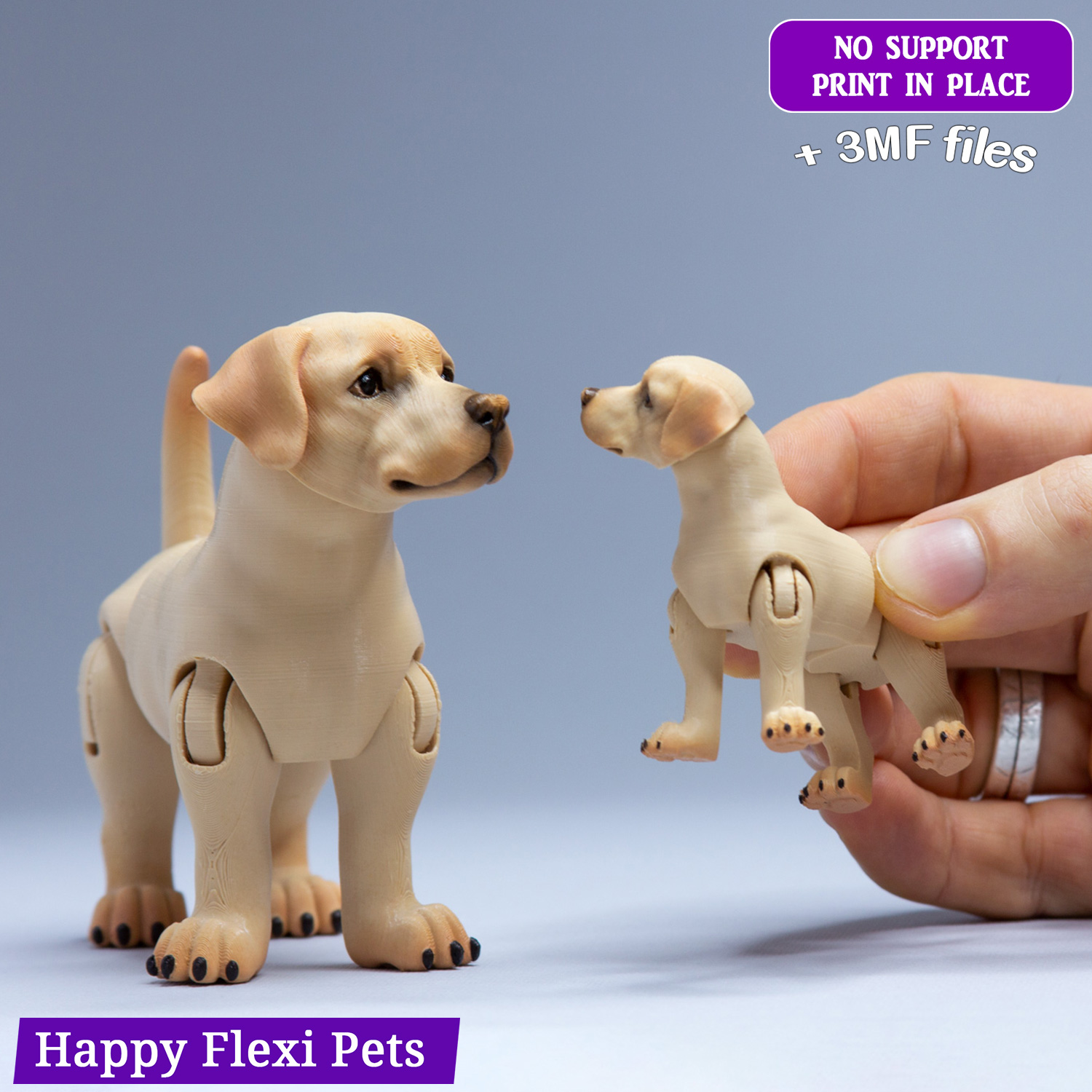 Labrador retriever dog articulated flexi toy (STL & 3MF) | 3D models ...