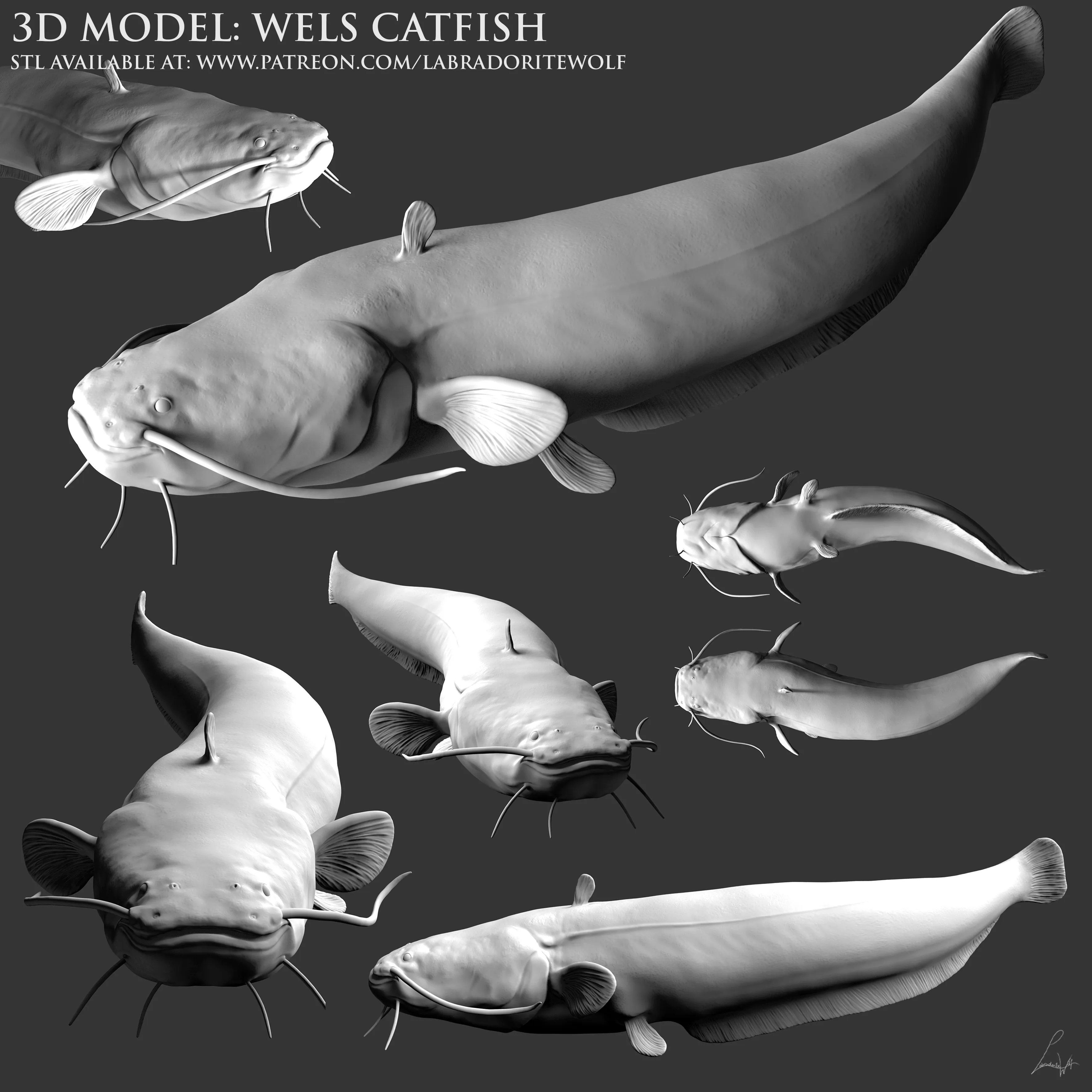 Characters & Creatures STL Download - Wels Catfishby LabradoriteWolf